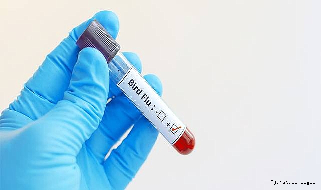 Kuş Gribi nedir? Salgın sırasında güvende kalmanın ipuçları - Sağlık ...